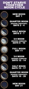 Full Moon | Don't Starve & DST | Moon Cycle Guide - Basically Average