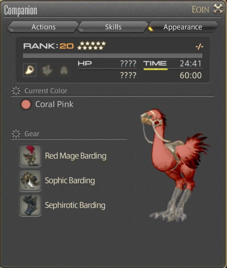 Everything You Need to Know About Companion Chocobos | FFXIV Guide ...